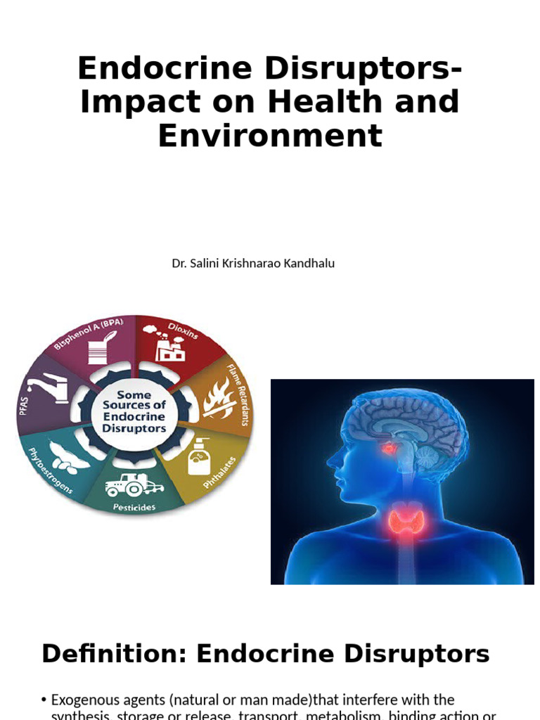 Endocrine Disruptors | PDF | Environmental Issues
