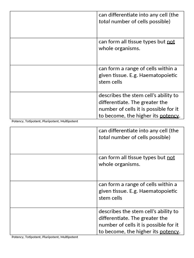Stem Cell Keywords | PDF
