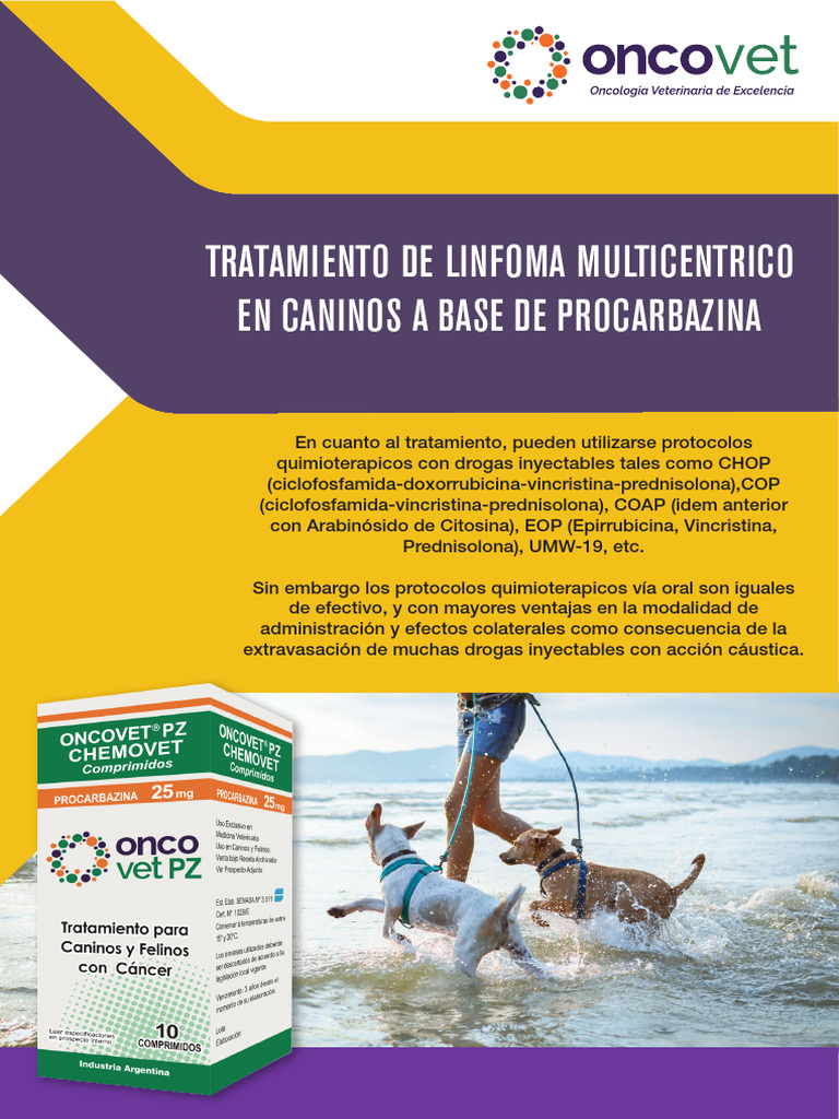 Tratamiento de Linfoma Canino con Procarbazina | PDF | Quimioterapia ...