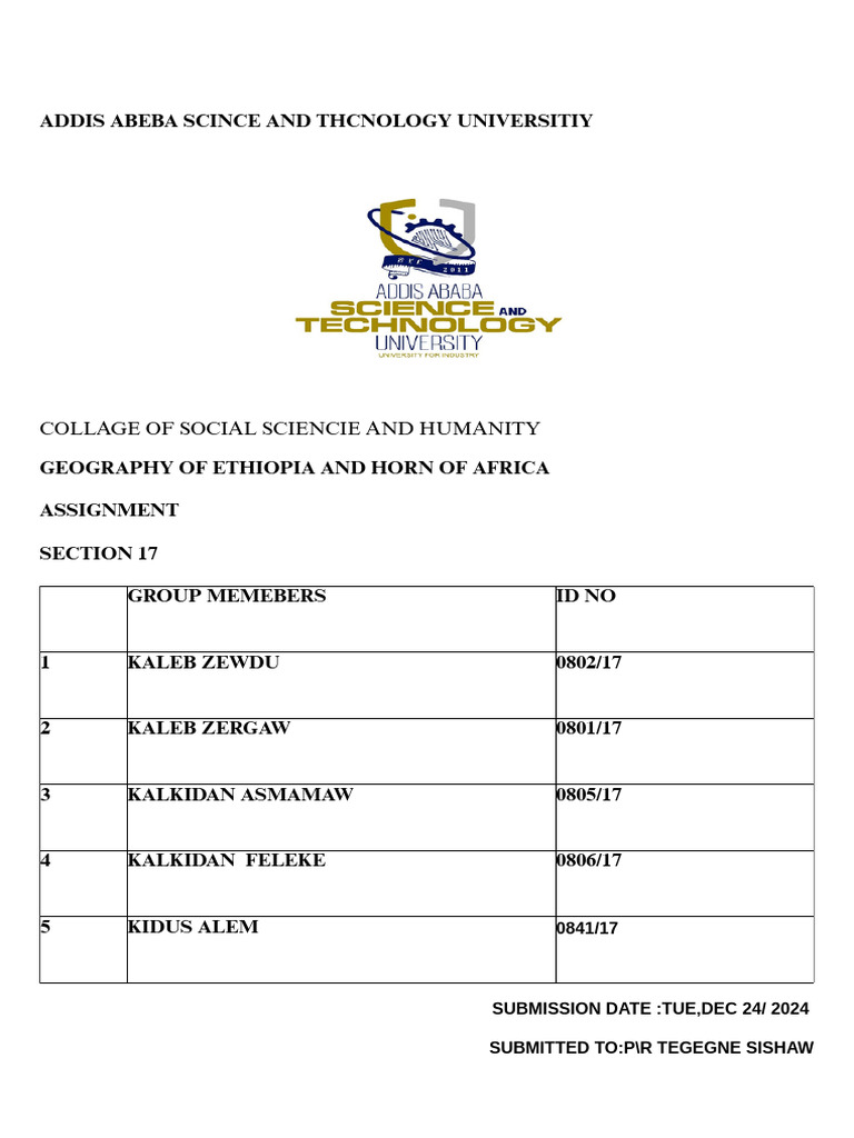 GEO ASSIGNMENT - Doc - 20241224 - 085852 - 0000 | PDF | Ethiopia | Infrastructure