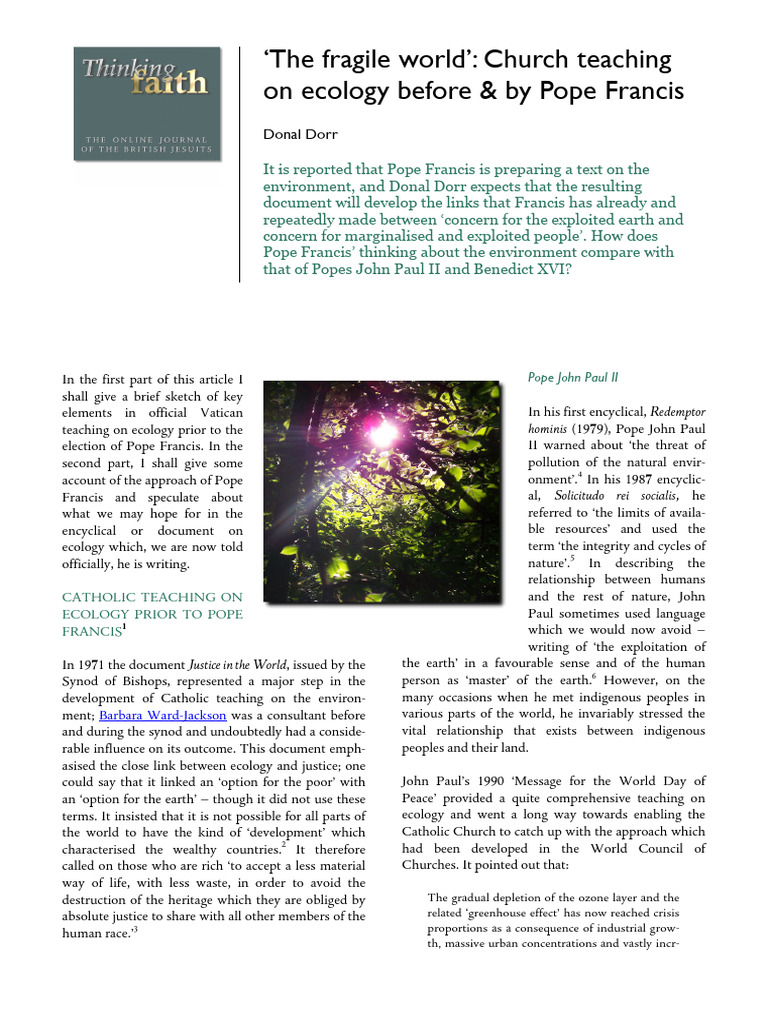 The Fragile World - Church Teaching | PDF | Pope Francis | Catholic Church