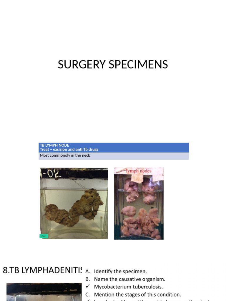 Surgical Specimens and Treatments Overview | PDF