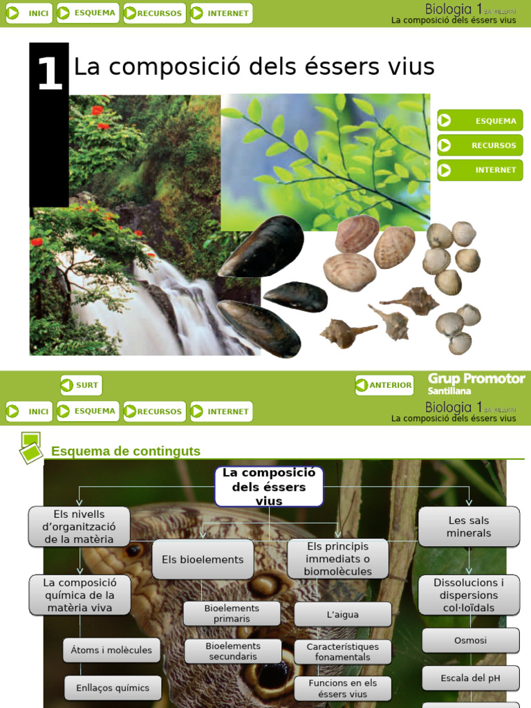 Esquemes Llibre | PDF