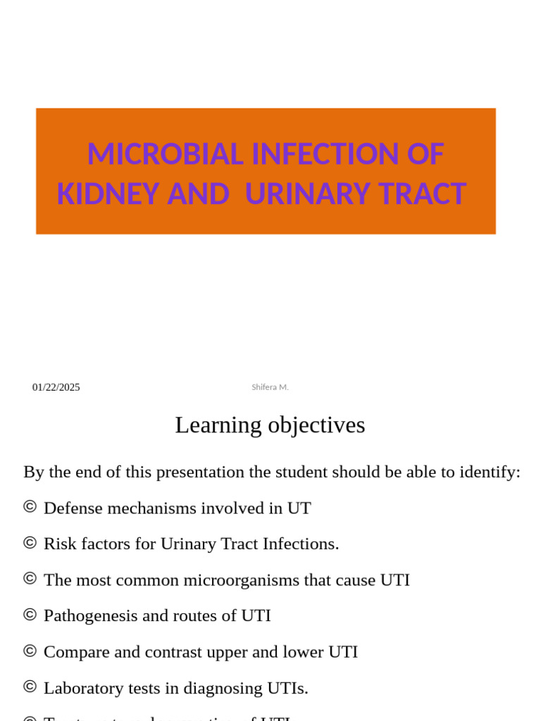 Kidney and UT Infection | PDF | Urinary Tract Infection | Staphylococcus