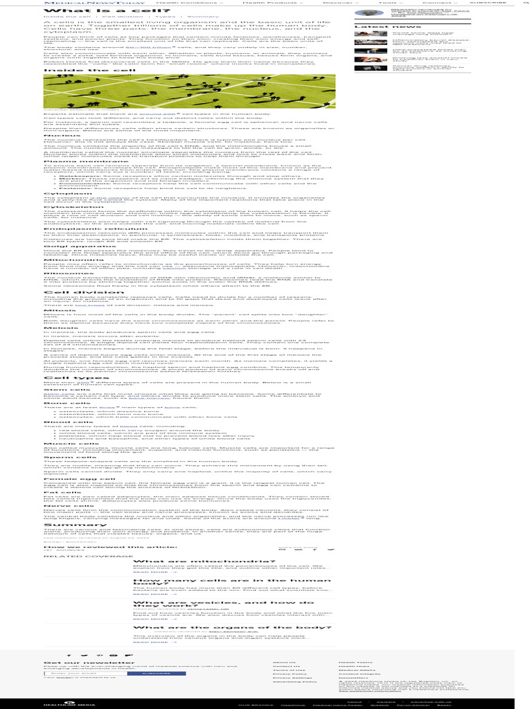 Understanding Cell Structure and Function | PDF | Endoplasmic Reticulum ...