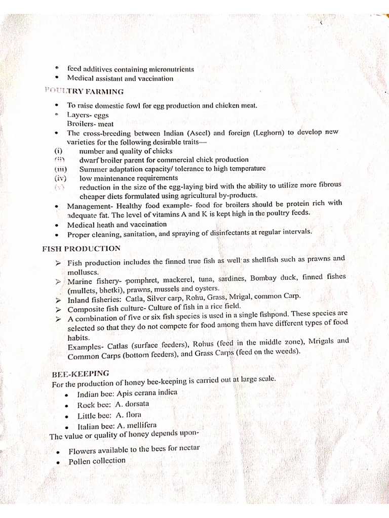 Science, Chapter 12, Improvement of Food Resources | PDF