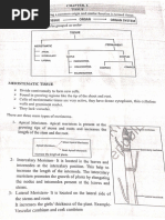 Tissues Work Sheet - Answer Key | PDF | Tissue (Biology) | Anatomy