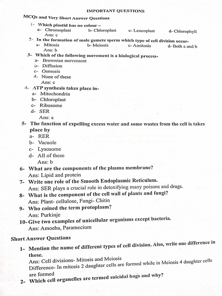 class lX , Science, chapter 5 question answer,10-Apr-2024 11-13 am | PDF