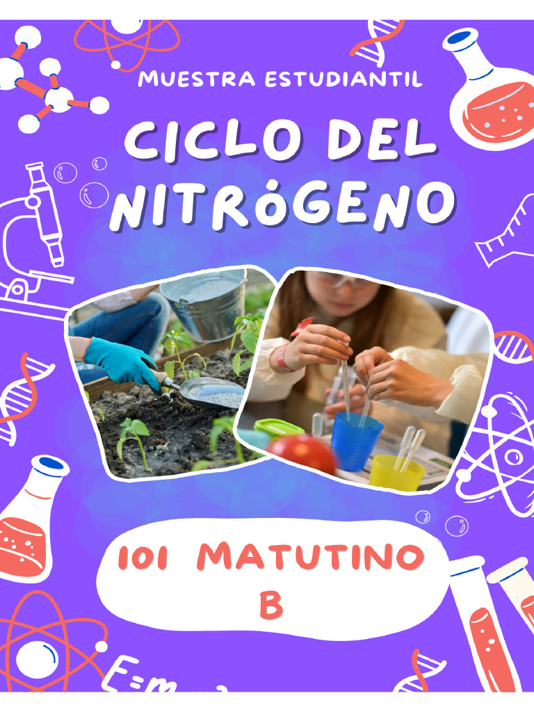 Cartel Nitrógeno | PDF