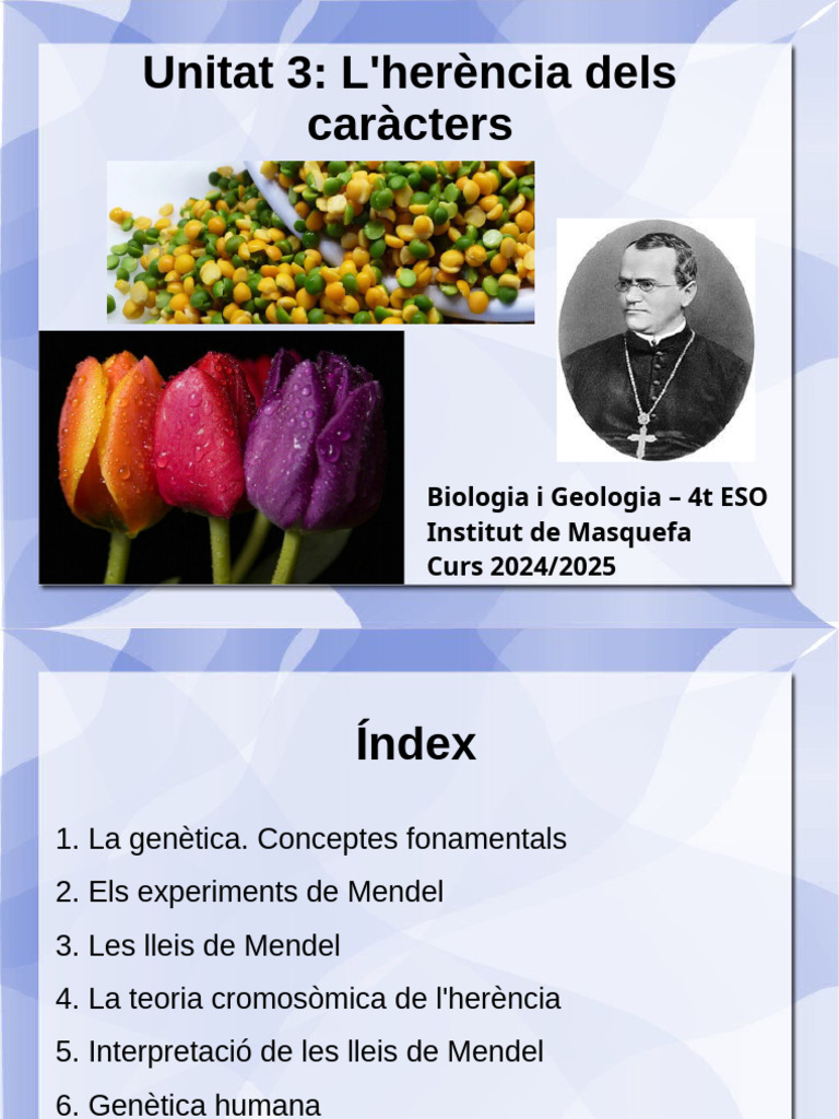 Unitat 3 - Herència Caràcters - Complet24 - 25 | PDF