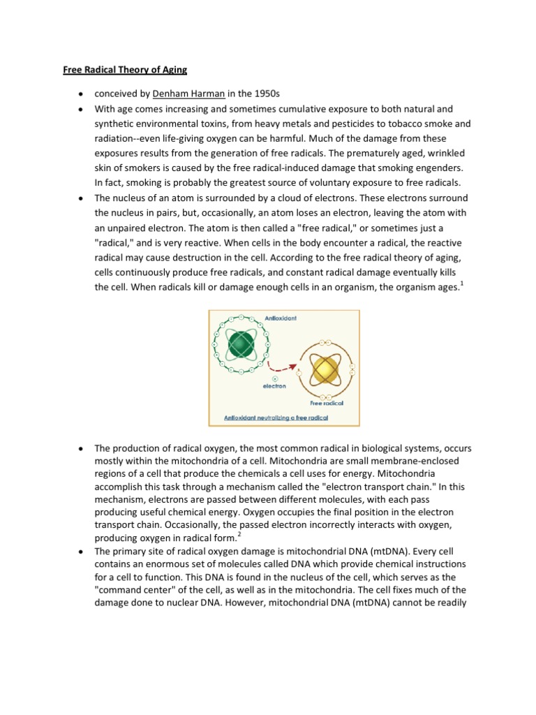 Free Radical Theory of Aging | PDF