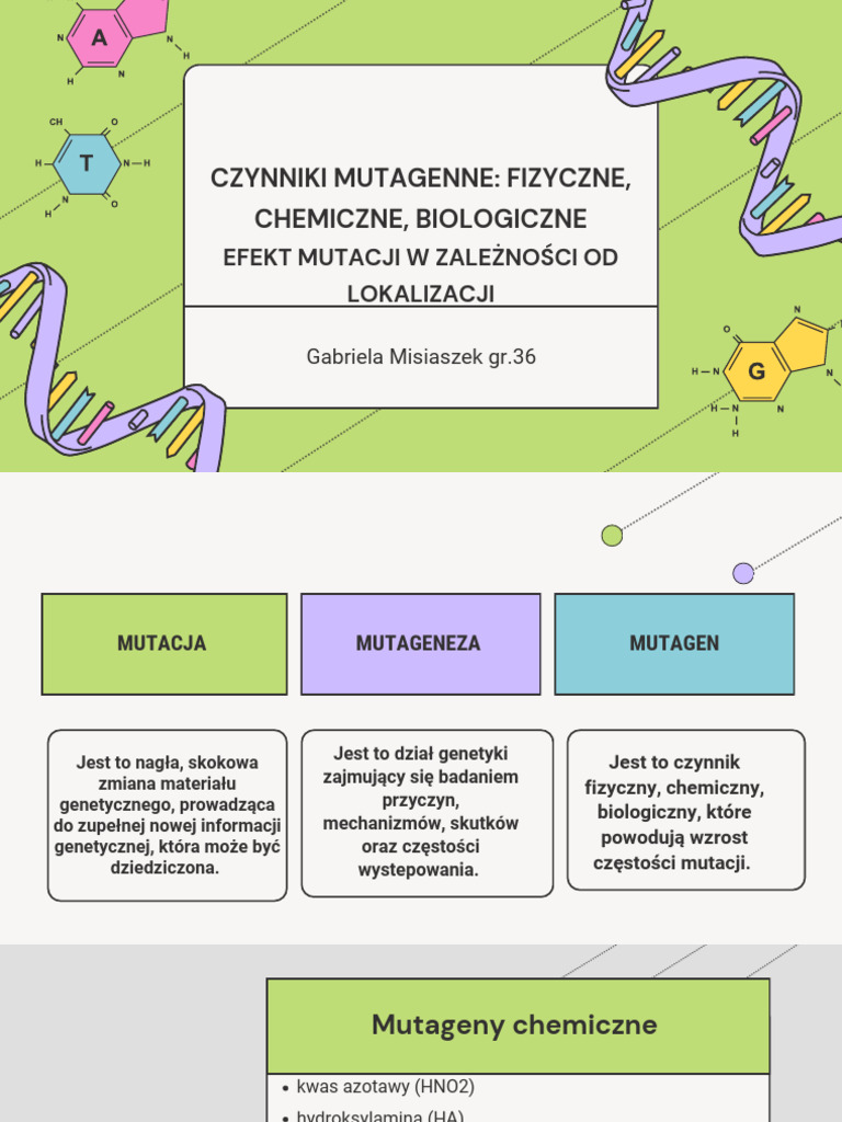 Czynniki Mutagenne Gmisiaszek Gr.36 | PDF