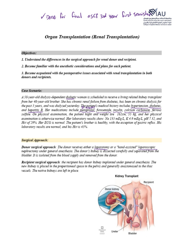 Renal Transplantation | PDF | Kidney Transplantation | Kidney