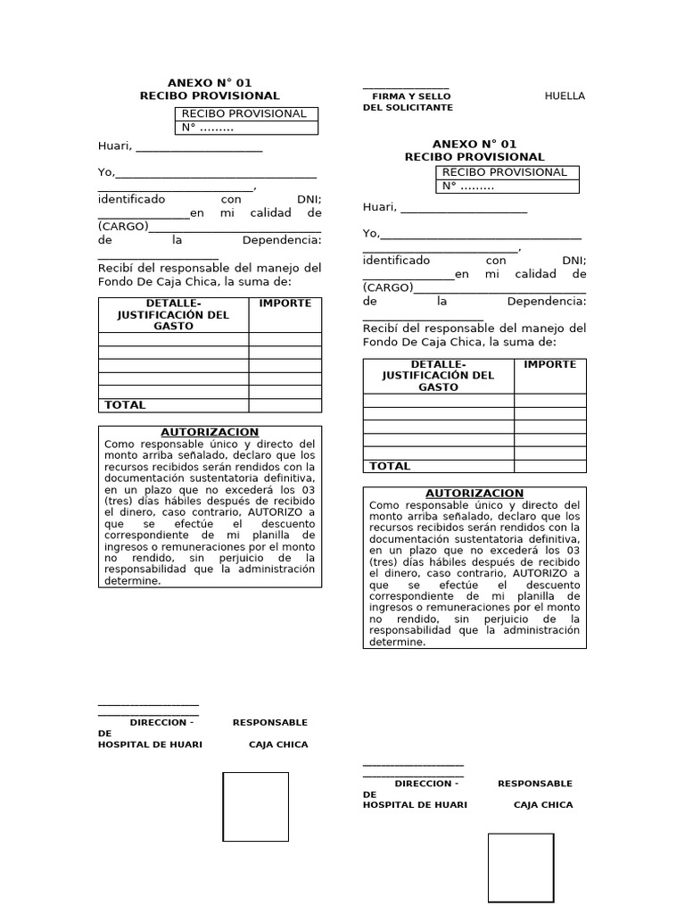 RECIBO PROVISIONAL CAJA CHICA HOSPITAL DE HUARI | PDF