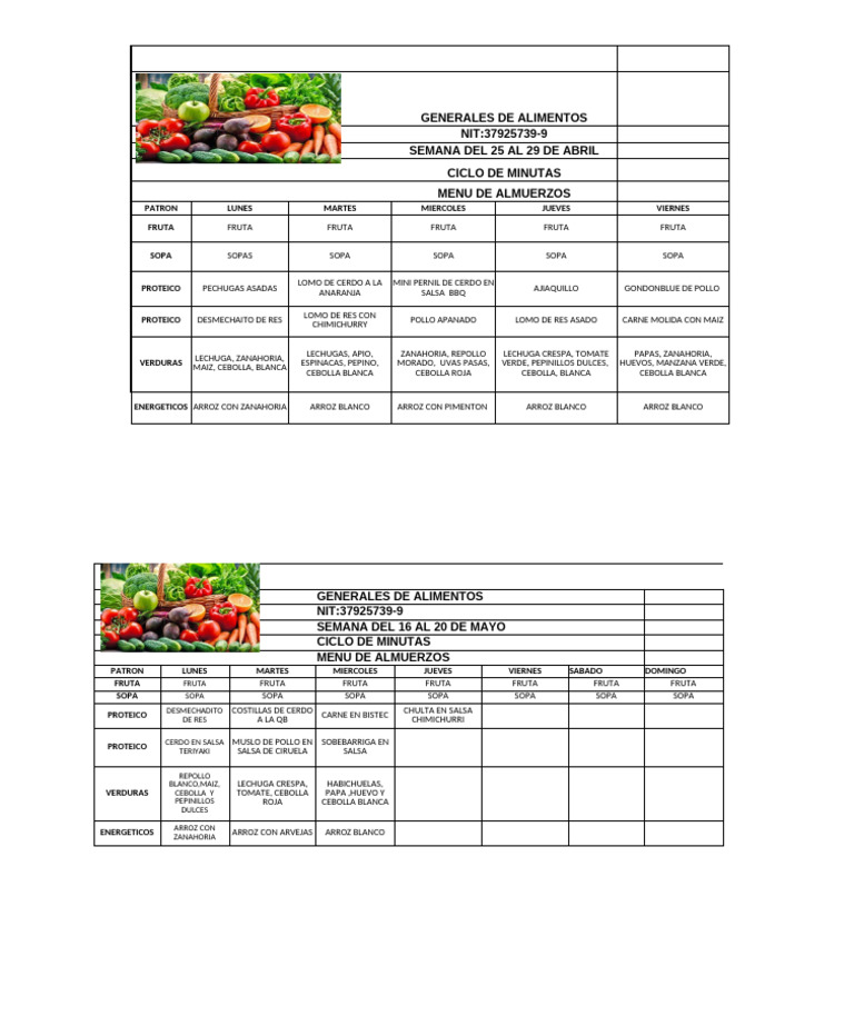 Generales de Alimentos Minutas | PDF | Sopa | Cocinando
