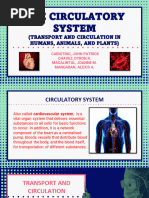 Human Circulatory System | PDF | Blood Vessel | Heart