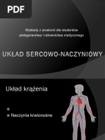 A. Przystańska - Anatomia - Jama Nosowa I Zatoki Przynosowe | PDF