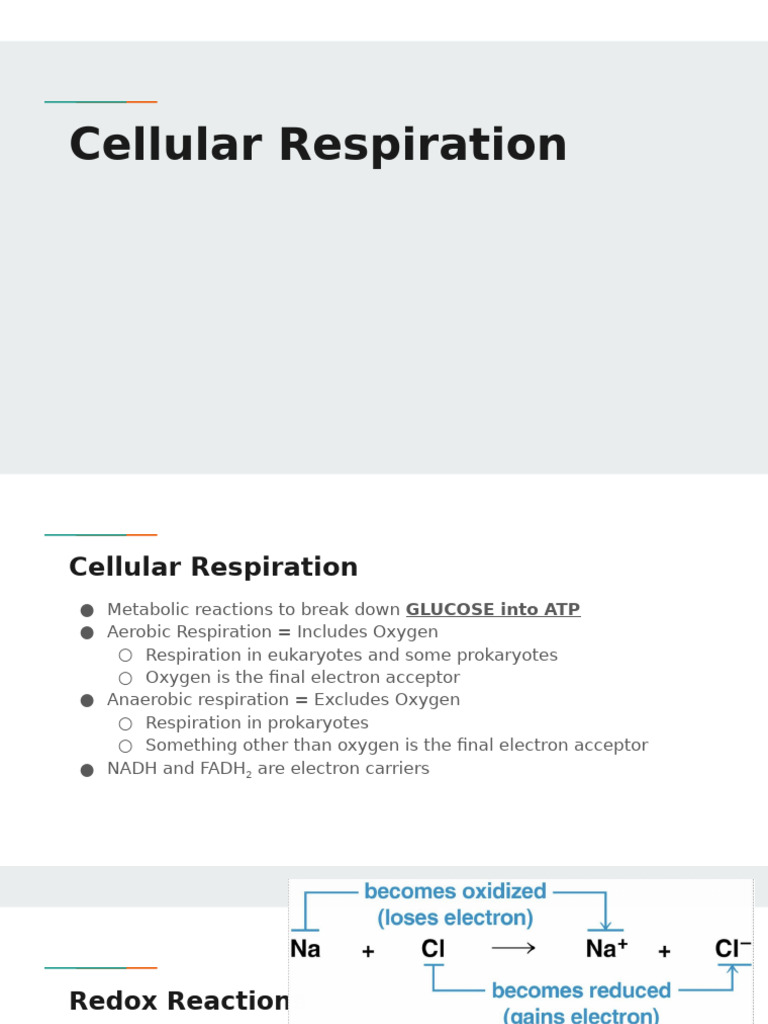 Ch. 9 - Cellular Respiration - Review Slides | PDF | Cellular ...