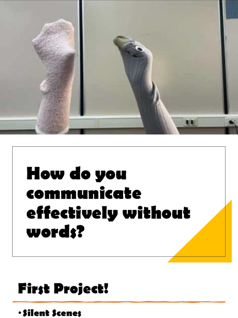 Silent Scene Project | PDF