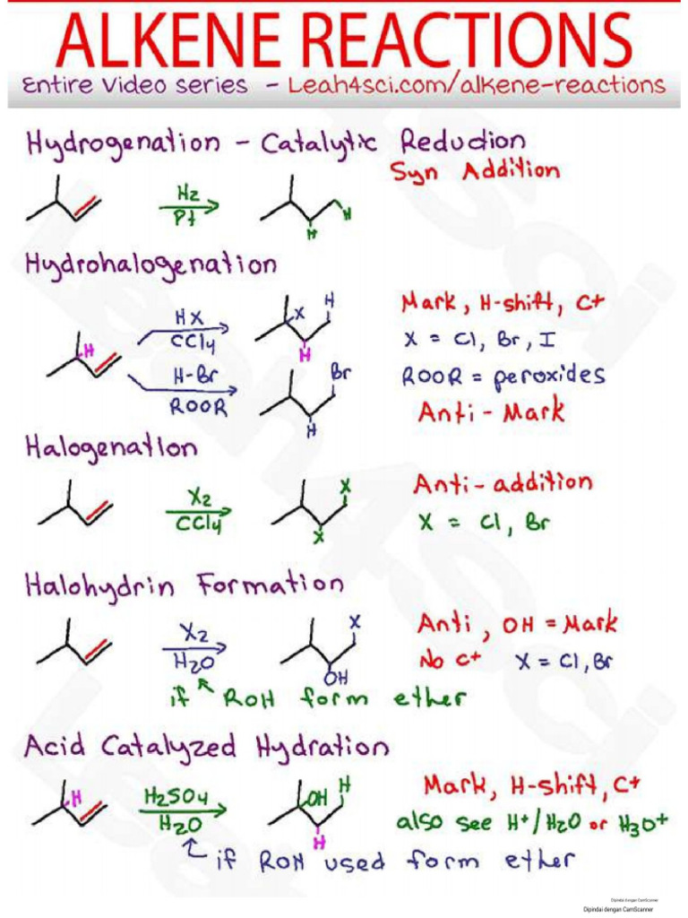 Sheet SBO | PDF
