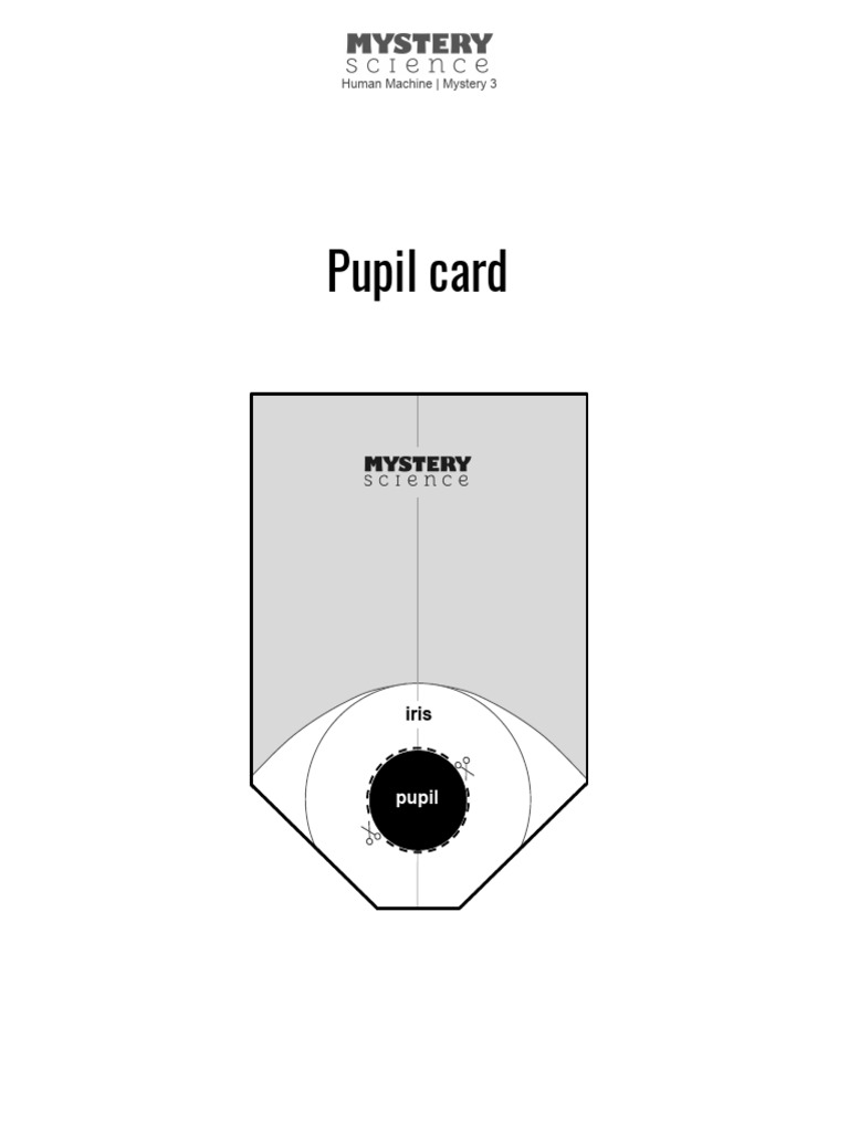 pupilcard | PDF