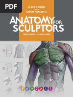 Tenten Anatomy (Translated) | PDF