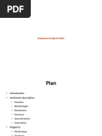 Anatomie des reins et leur vascularisation | PDF | Rein | Foie