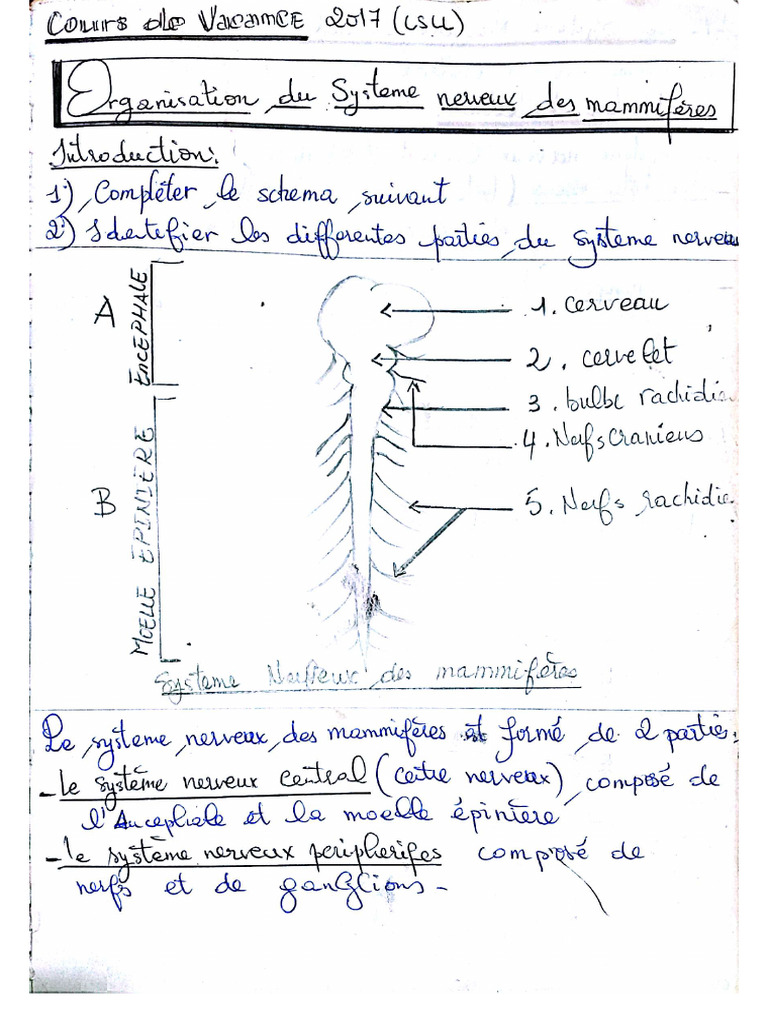 Cahier de Révision Document | PDF