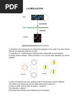 Tableau Des Modalisateurs | PDF | Verbe | Linguistique