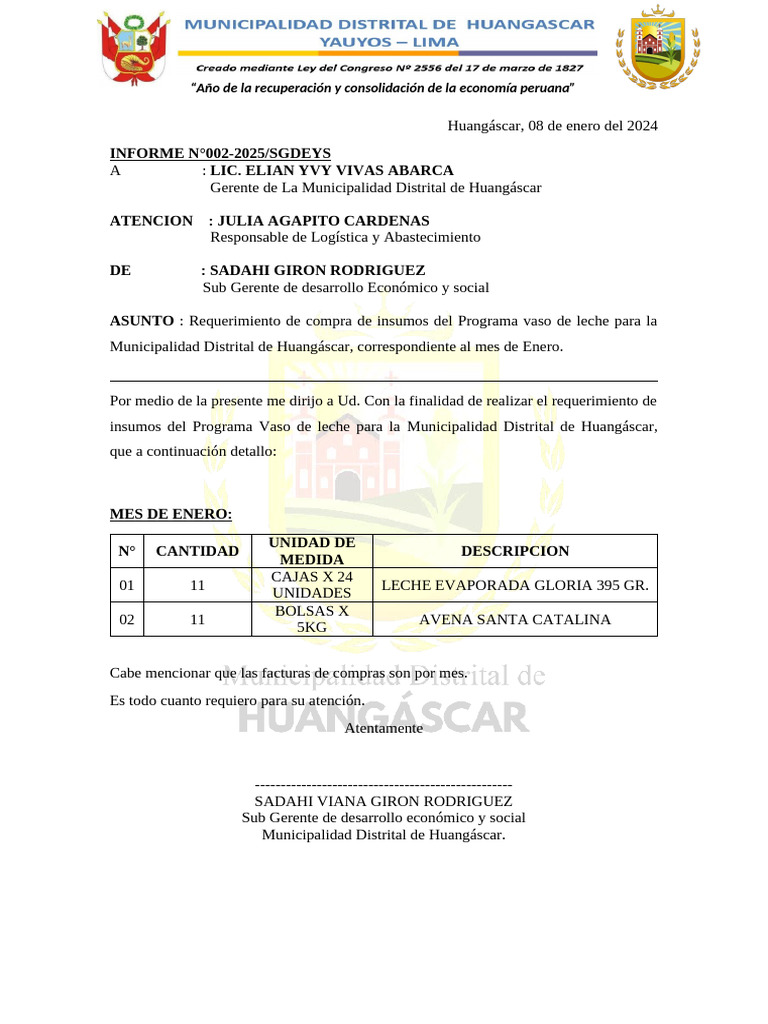 Informe N°002 Requerimiento Enero | PDF