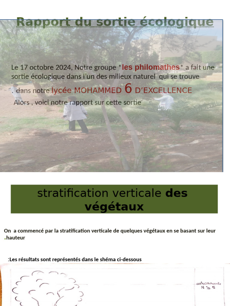 Rapport sur la sortie écologique 2024 | PDF