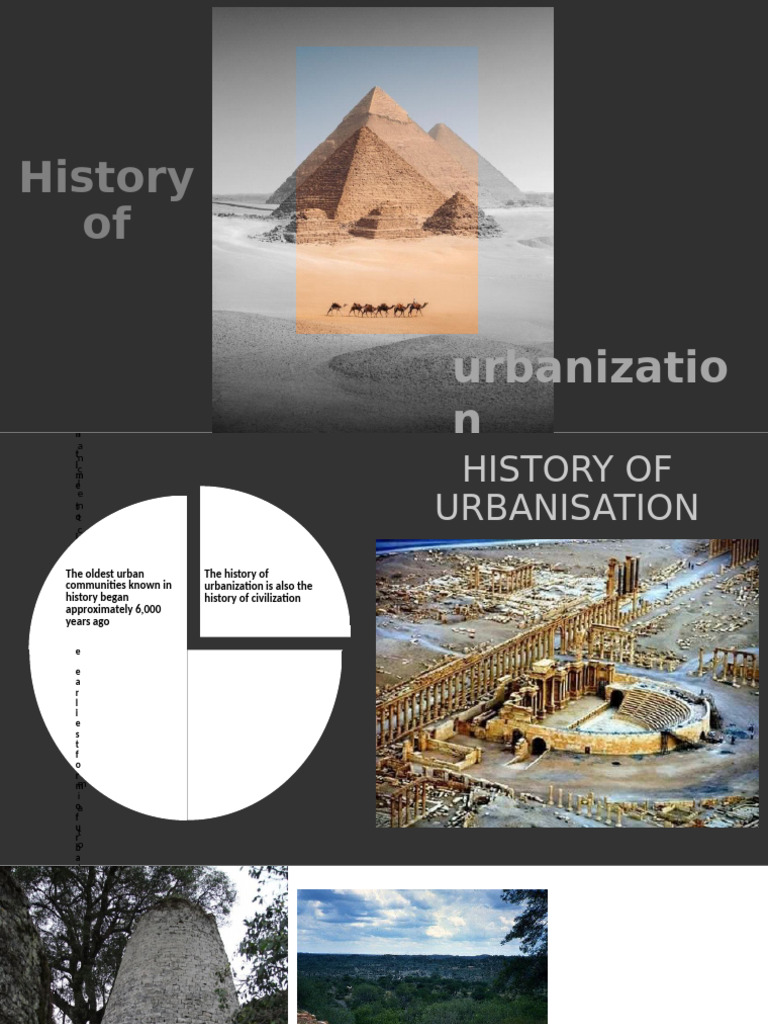 History of Urbanisation | PDF | Renaissance | Industrial Revolution