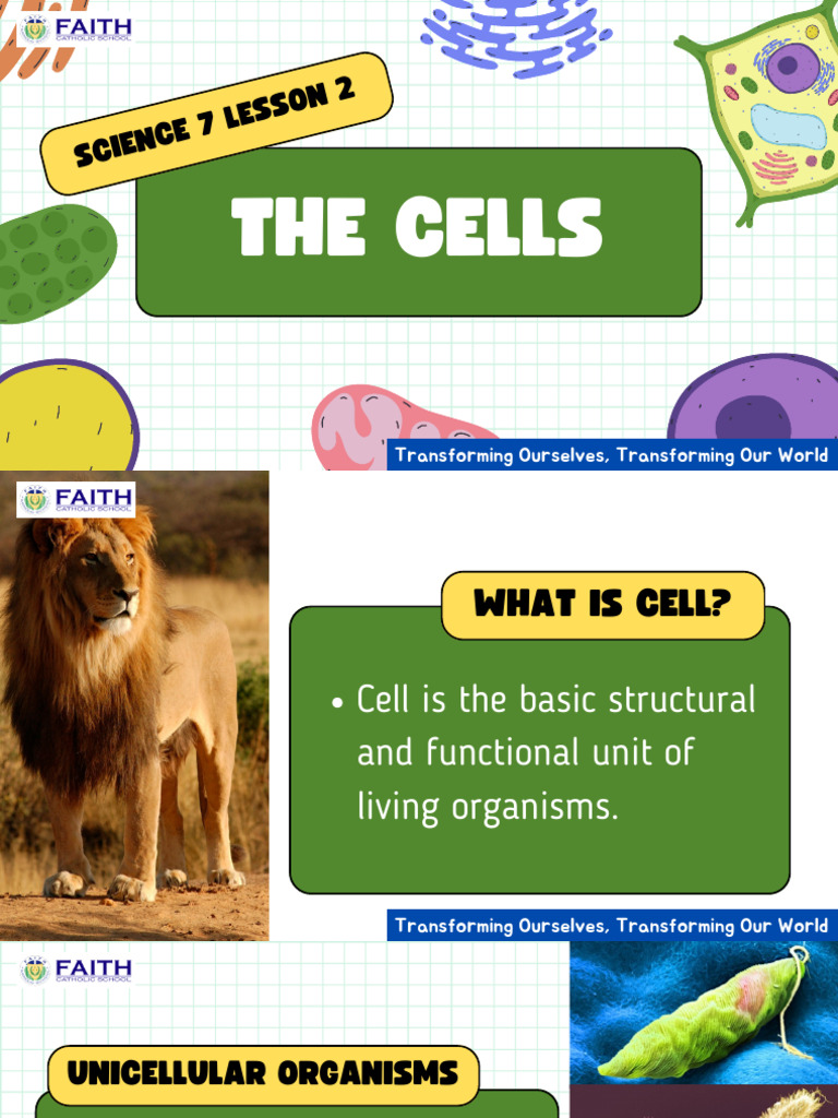 Science 7 q2 the Cells | PDF | Cell (Biology) | Endoplasmic Reticulum