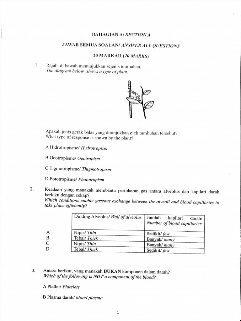 SCI TEST Correction Blank | PDF