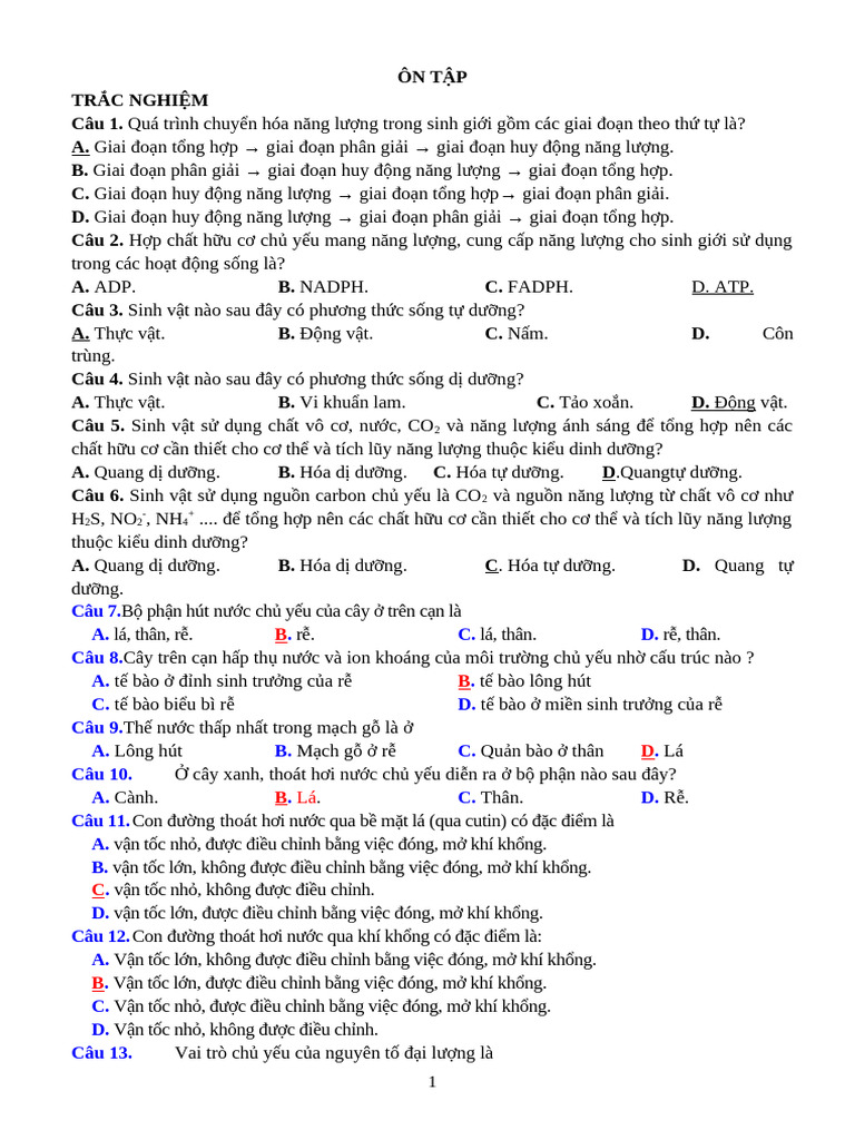 Ôn Thi Hki Sinh 11 GV | PDF