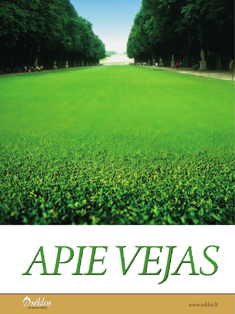 Apie Vejas | PDF