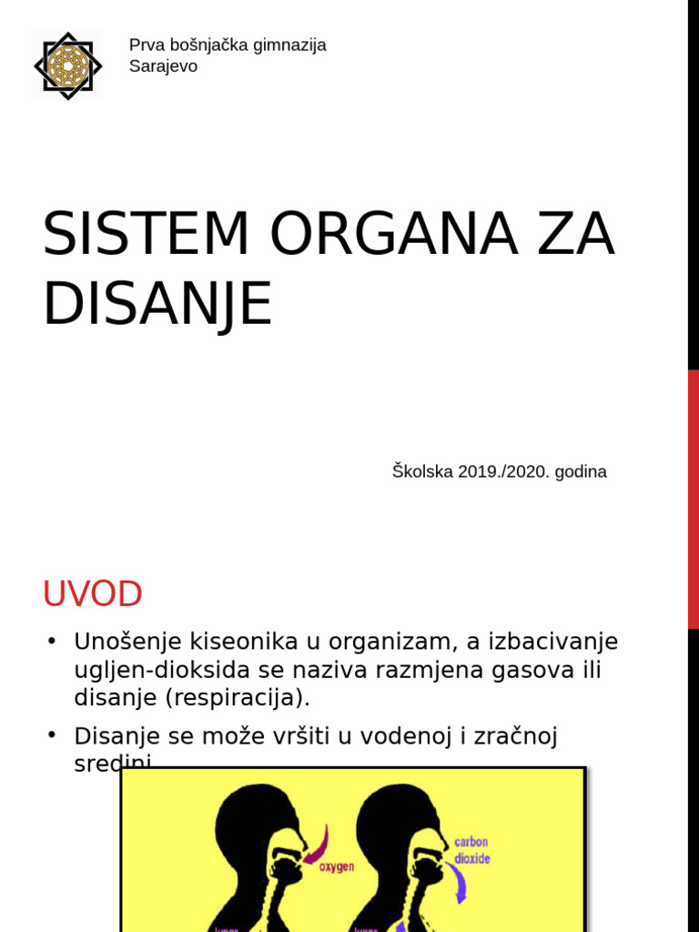 Sistem Organa Za Disanje IIc 7.3.2012. | PDF