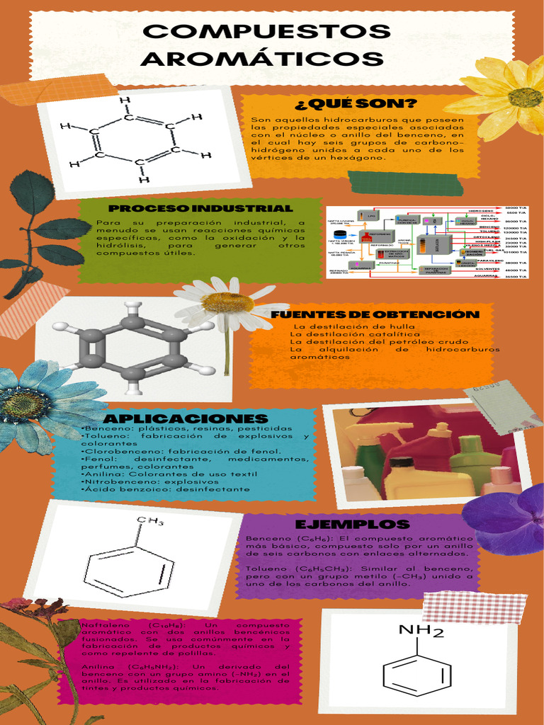 Compuestos aromáticos | PDF | Benceno | Hidrocarburos