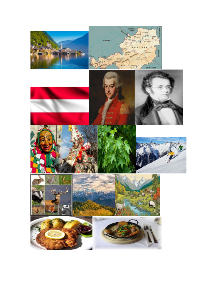 Austria | PDF