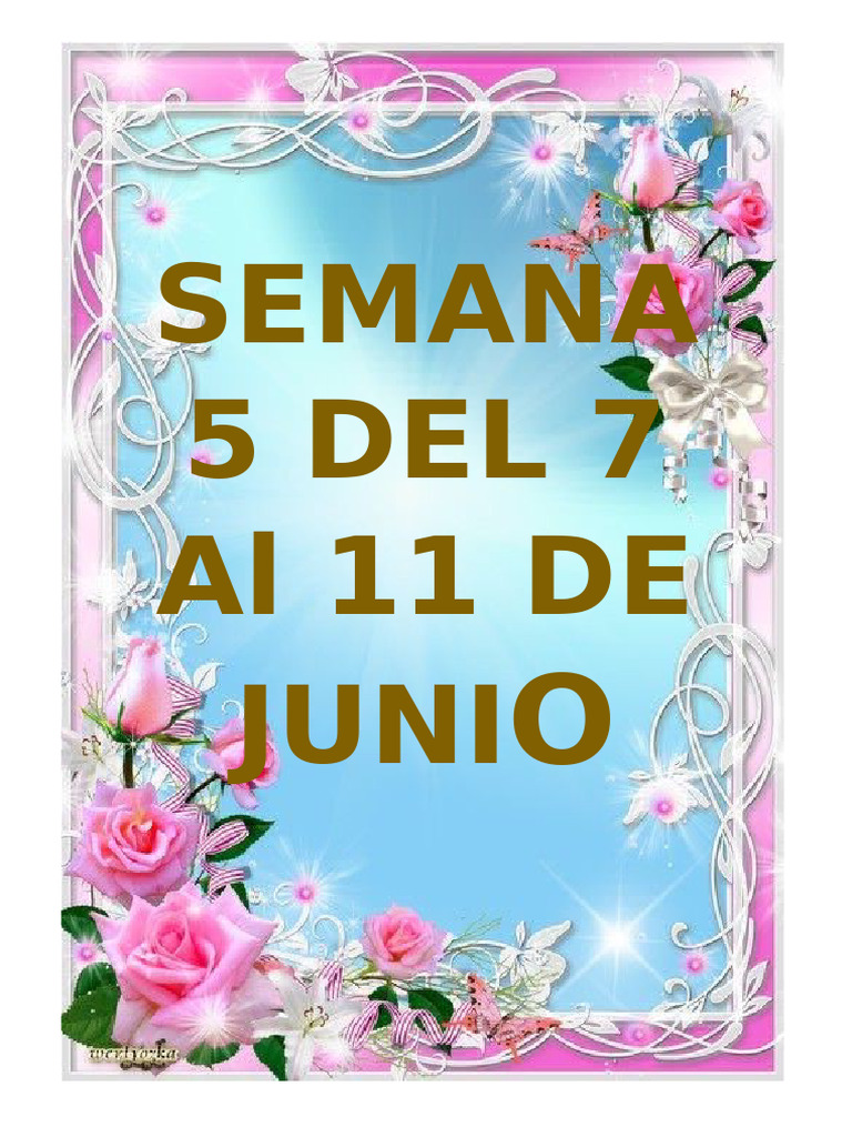 CARAULA | PDF