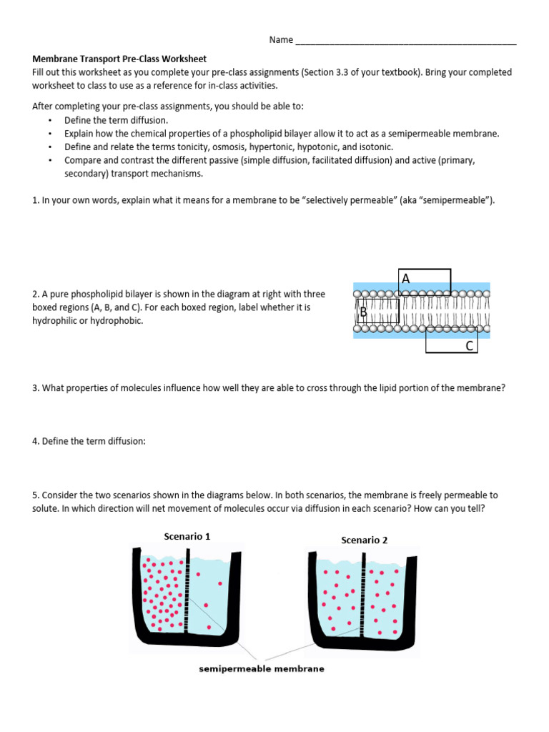Week_2b_Pre-Class_Reading_Guide_-_Membrane_Transport | PDF | Cell ...