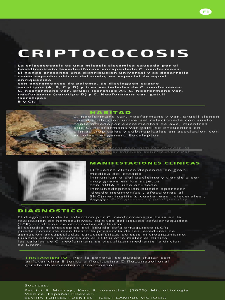 CRIPTOCOCOSIS Infografías | PDF | Epidemiología | Medicina CLINICA