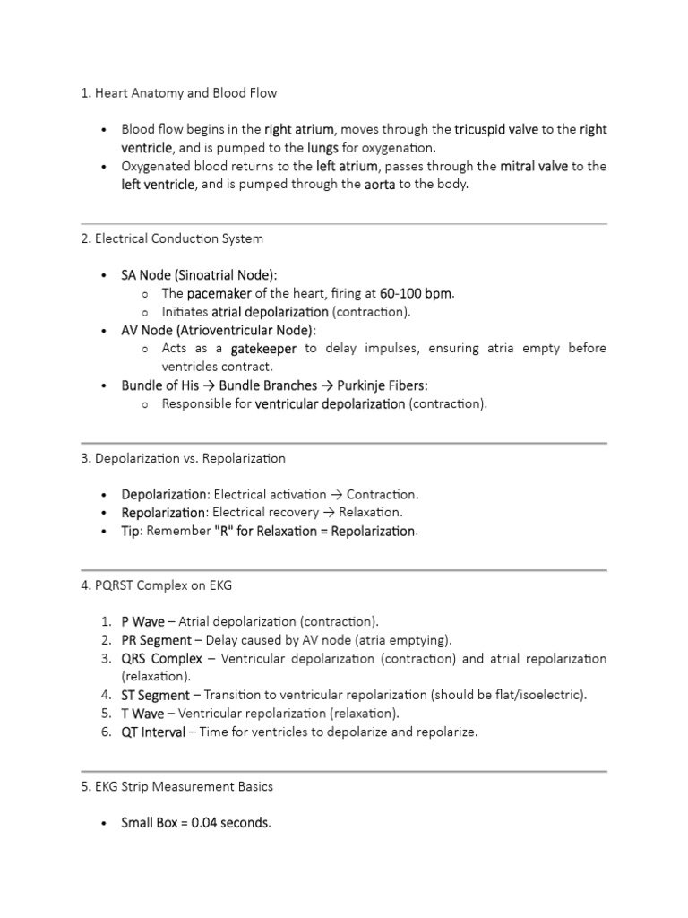EKG Interpretation and Heart Function Basics | PDF ...