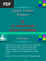 External Vs Internal Jugular Vein | PDF | Vein | Human Anatomy