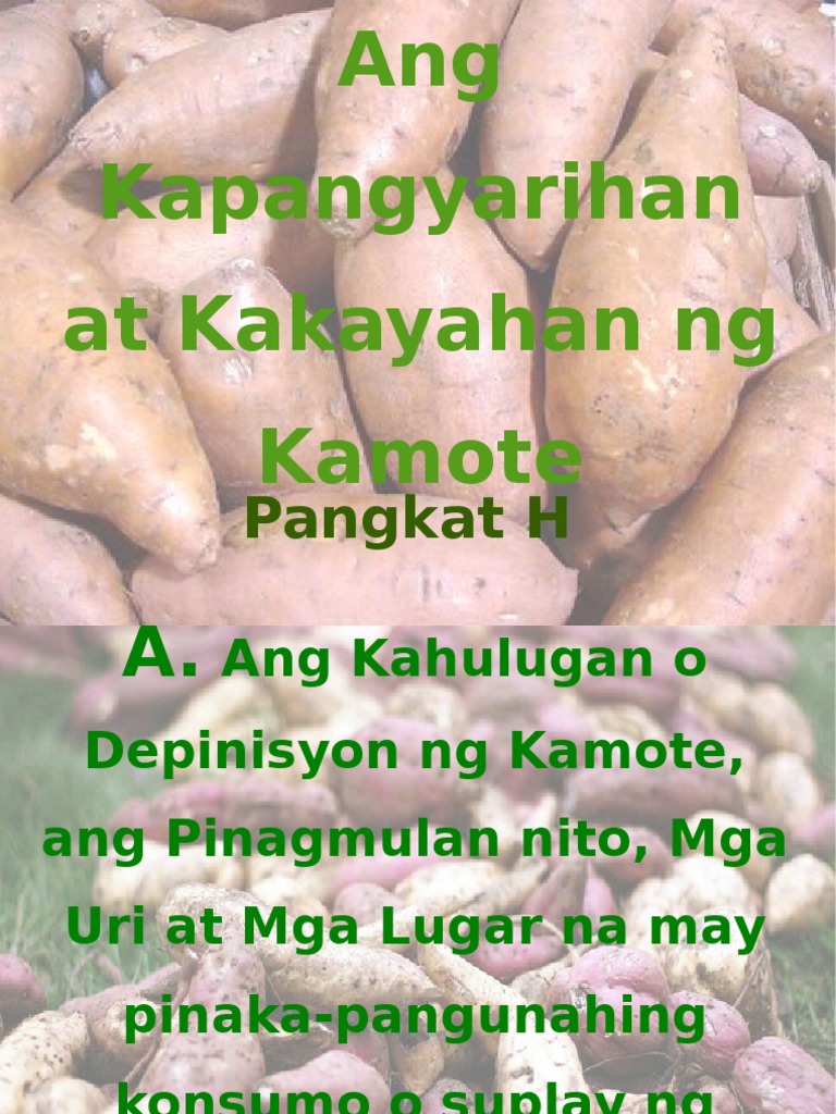 Kamote Presentation | PDF