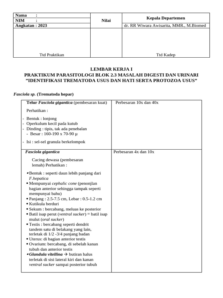 Identifikasi Trematoda dan Protozoa Usus | PDF