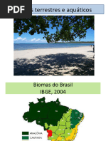 Classificação e Características do Ambiente Bentônico | PDF | Biologia ...
