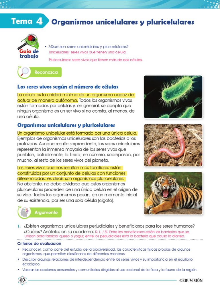 Unicelulares y Pluricelulares: Guía Completa | PDF | Plantas | Organismos