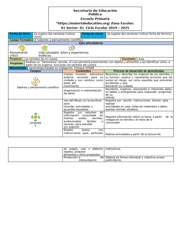 Proyecto Escolar: Los Sentidos del Cuerpo | PDF | Lentes | Sentidos