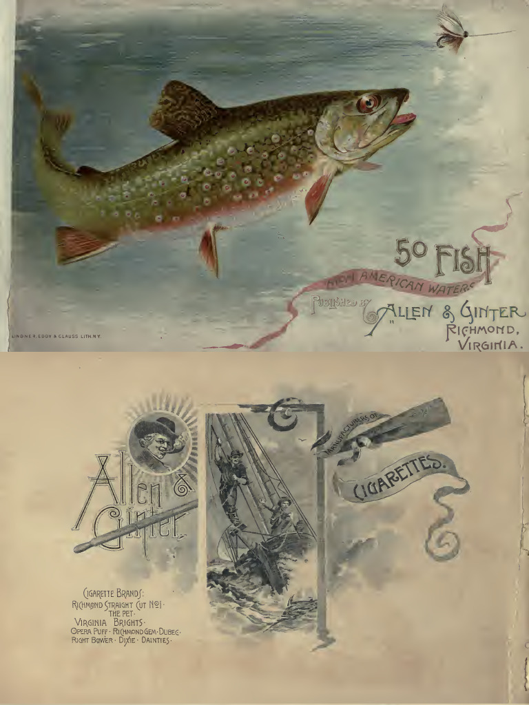 50 Fish From American Waters, Allen and Ginter | PDF